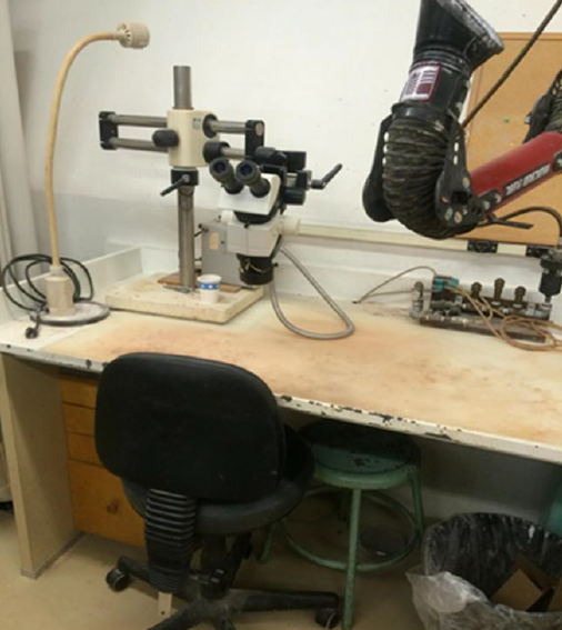 dino lab – Dinosaur Lady