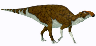 Meet Hadrosaurus – Dinosaur Lady