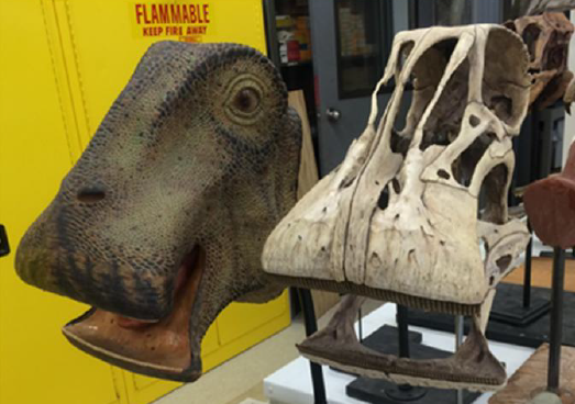 Tyrannosaurus Rex – Dinosaur Lady