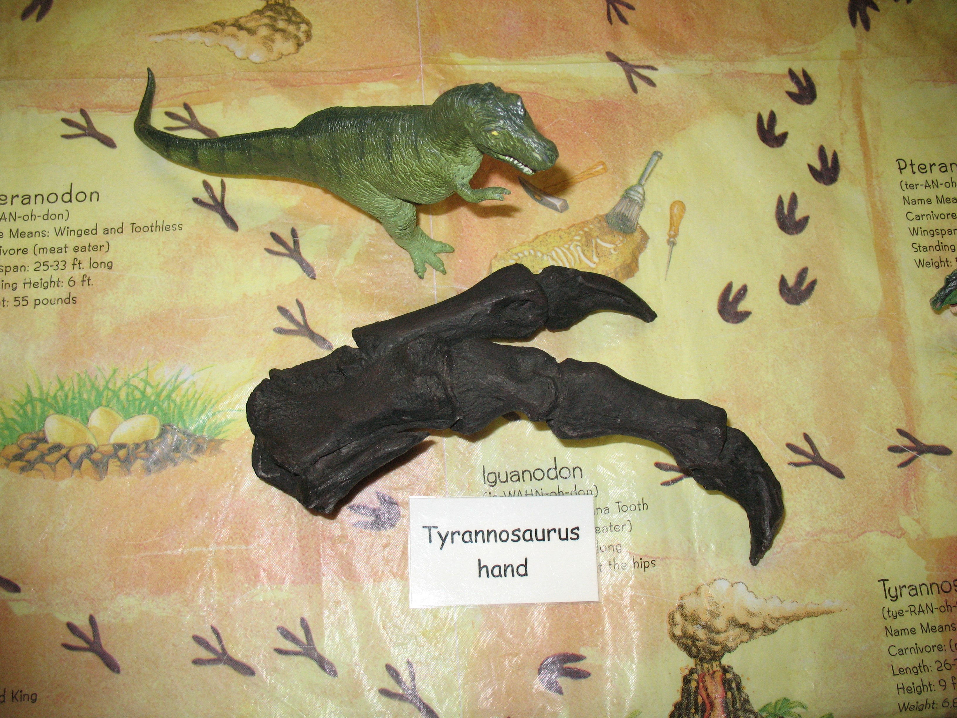 Dinosaur Lady – The Blog on All Things Dinosaur