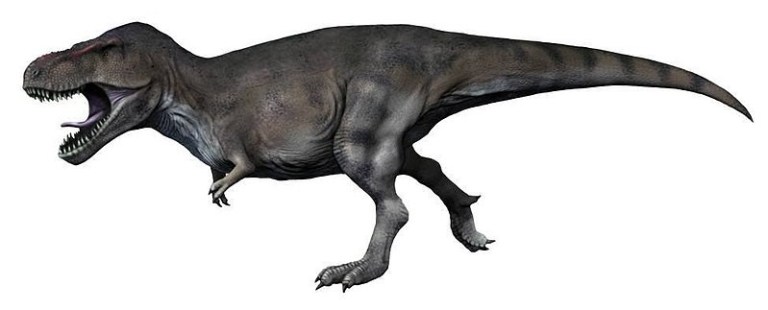 tyrannosaurus – Dinosaur Lady