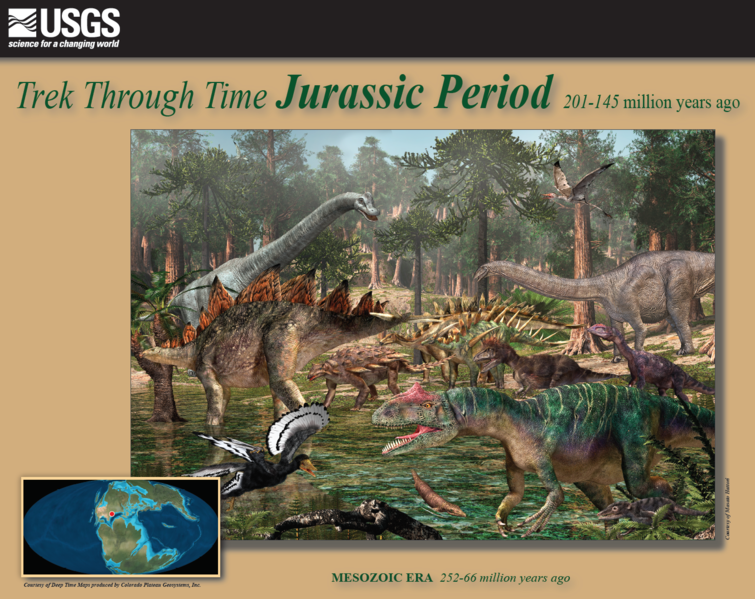 Dinosaur Facts – Dinosaur Lady