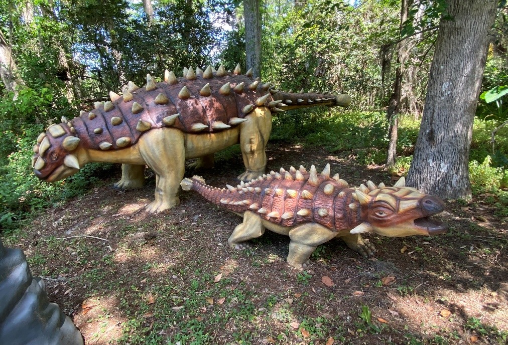 ankylosaurus – Dinosaur Lady