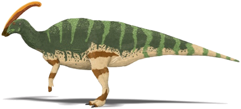Parasaurolophus – Dinosaur Lady