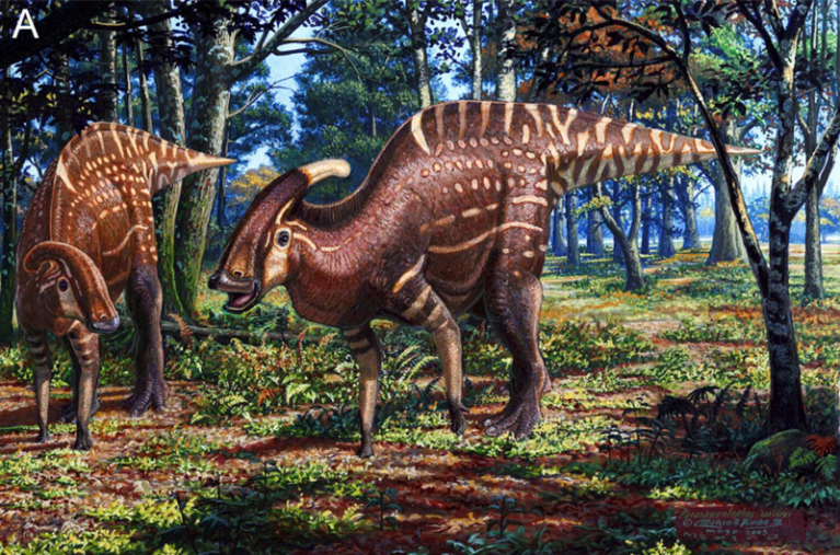 Parasaurolophus – Dinosaur Lady
