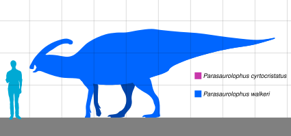 Parasaurolophus – Dinosaur Lady